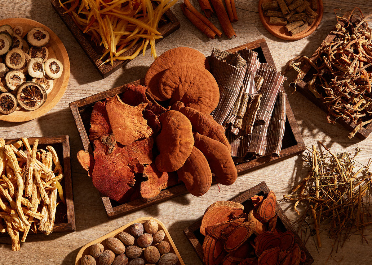 The Benefits of Adaptogens: Elevate Your Wellness